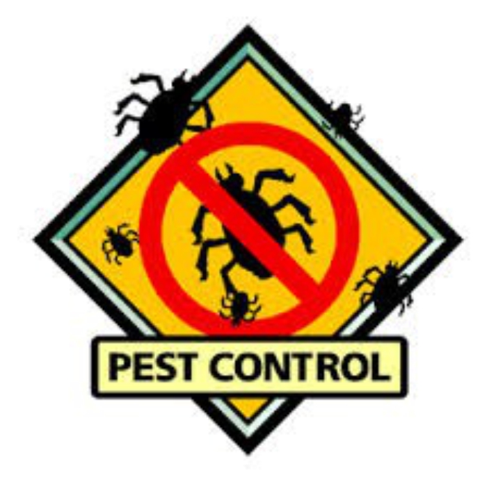 The Pest King - Professional Pest Control Services in Limpopo